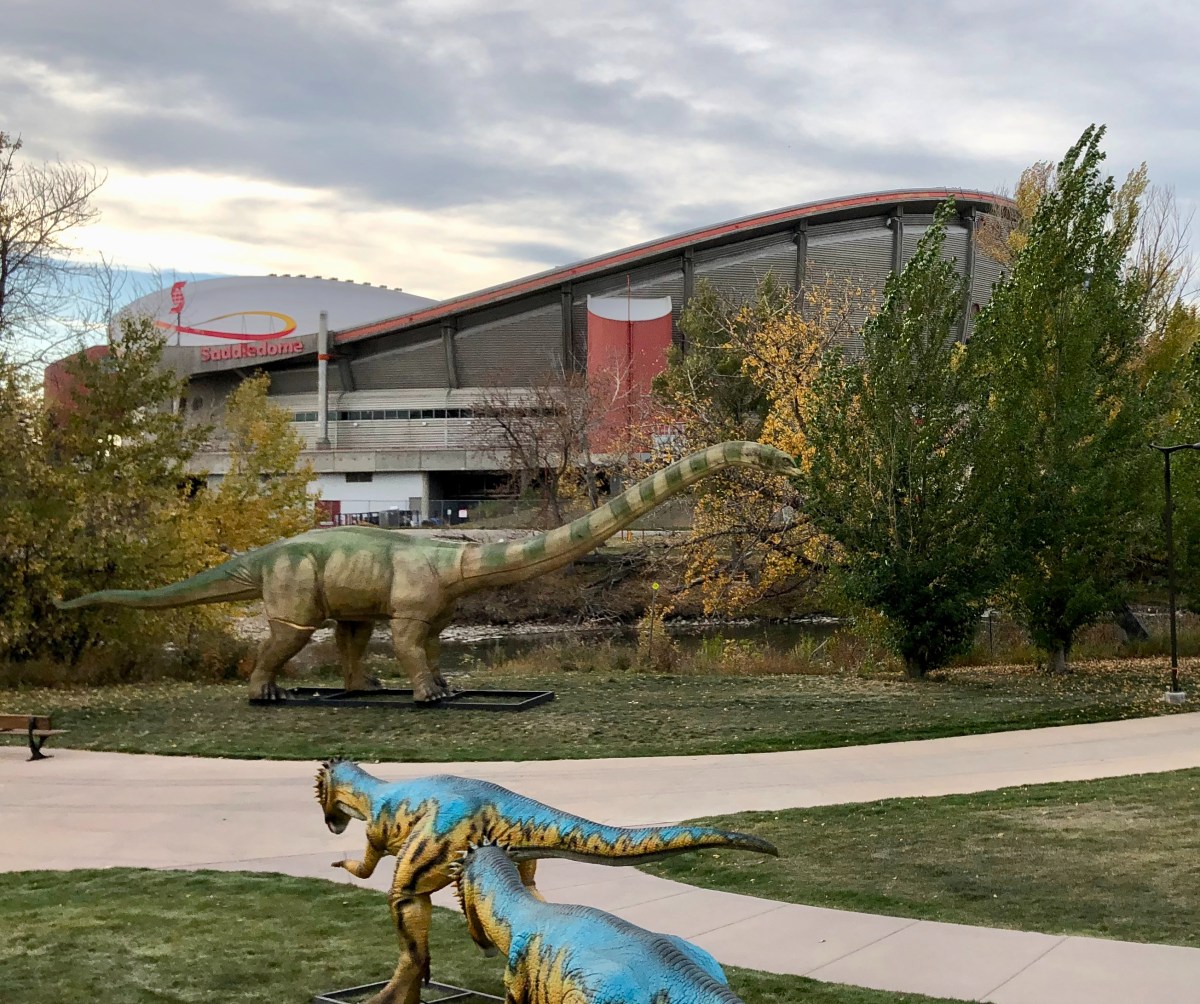 Evolution of Stampede Park | Saddledome – The Urban Explorer